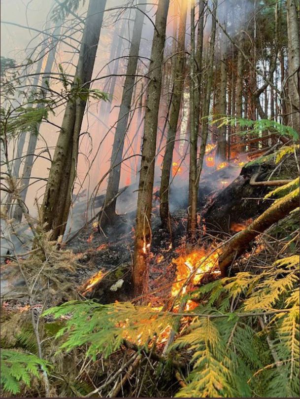 State Fire Marshal’s Office Recognizes Wildfire Awareness Month ...