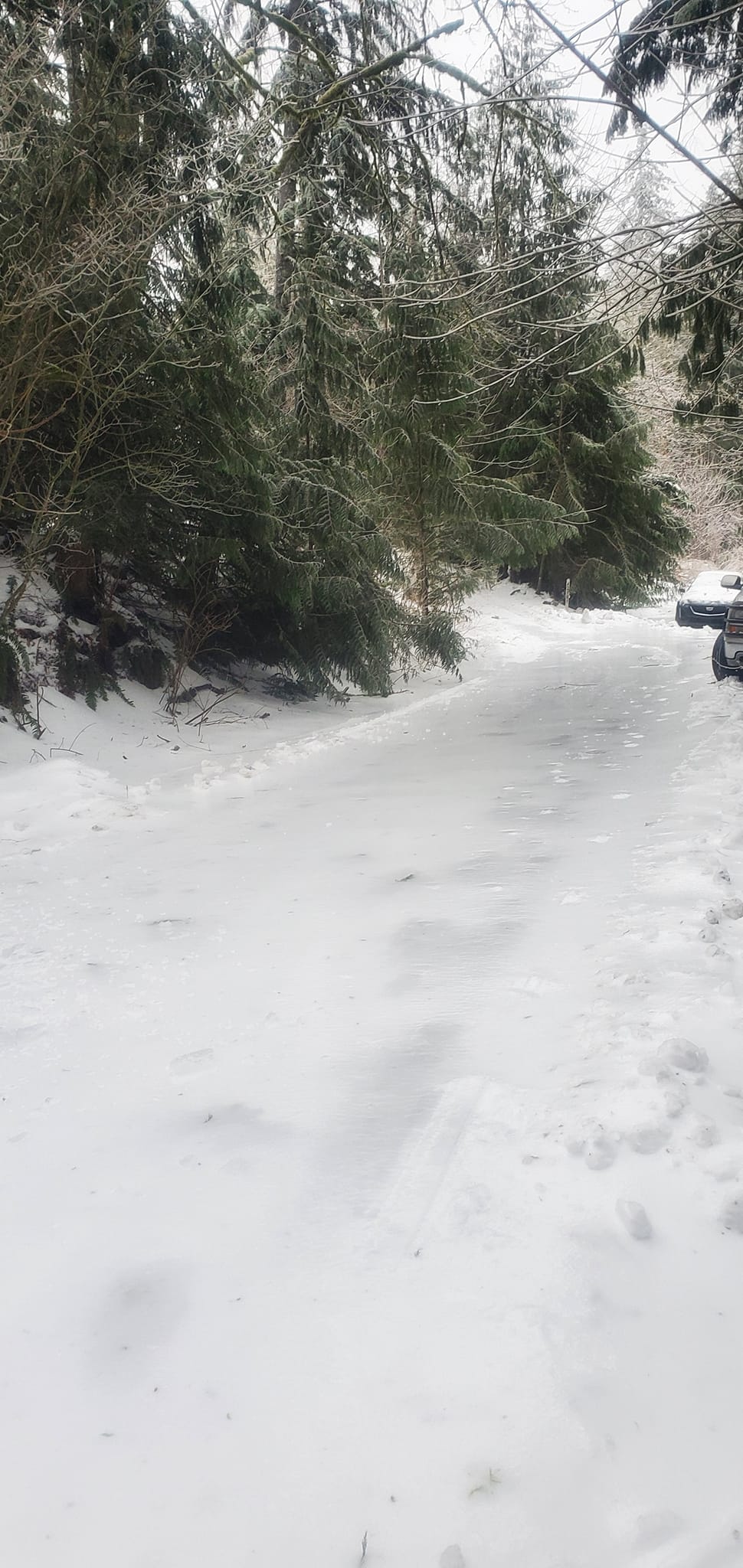 Top Ten Snoqualmie Valley Photos of 2022 (According to Instagram ...