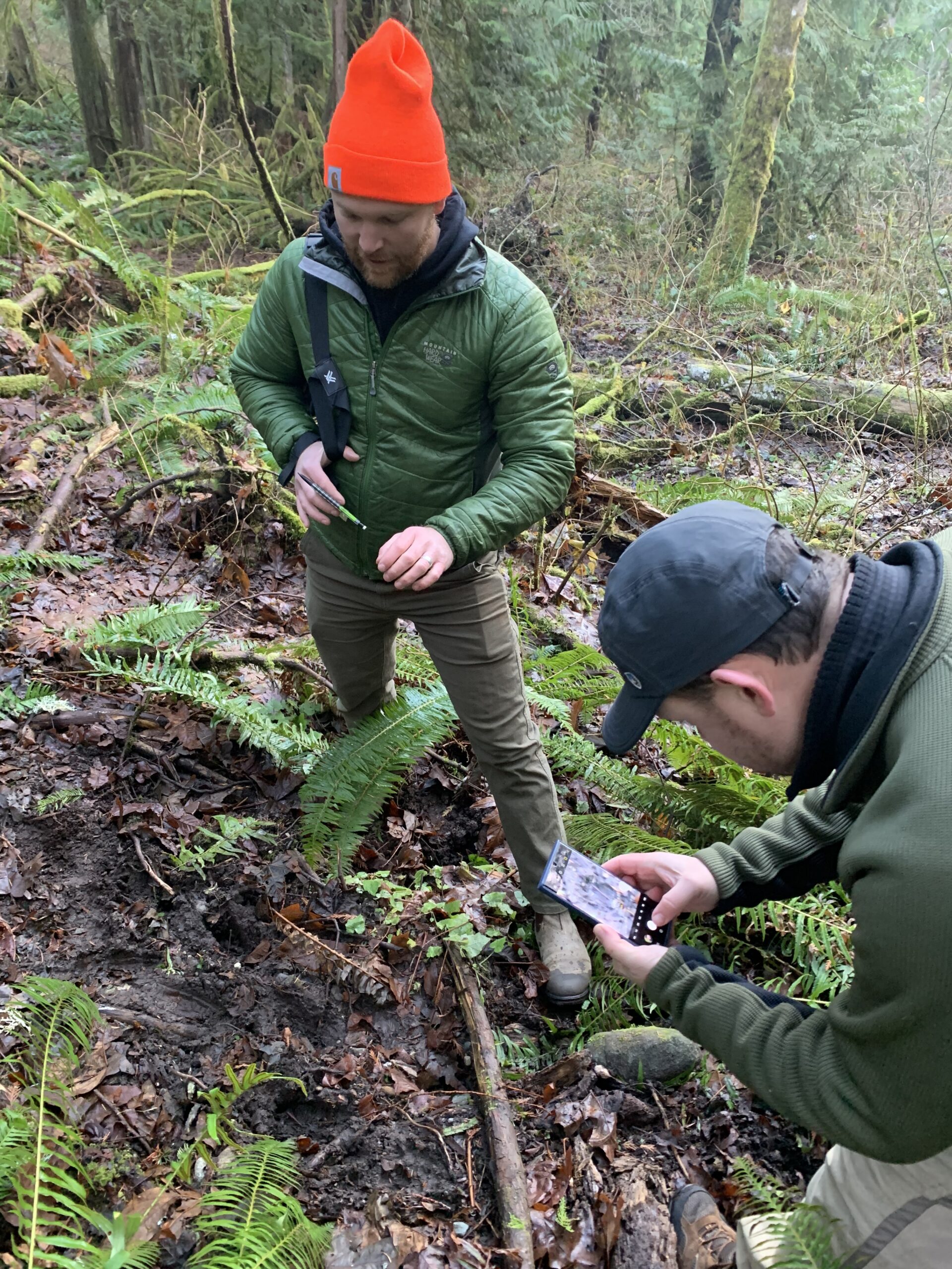 North Bend Local Works with the Snoqualmie Tribe to Protect Wildlife ...